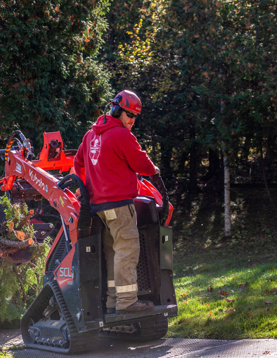 Remote Access / Island Work – Madden & Company Tree Service | Westport ...